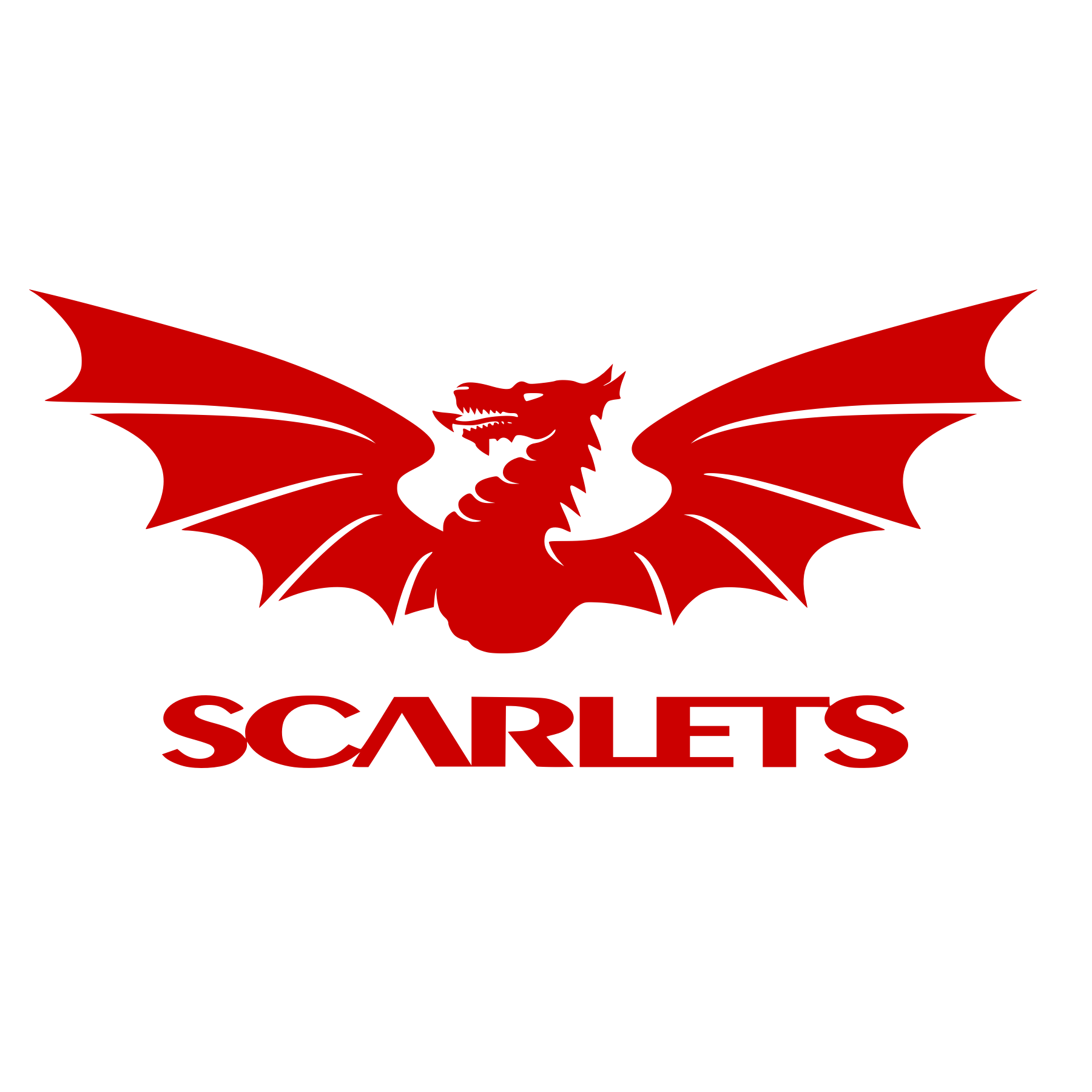 First Team Results | Northampton Saints