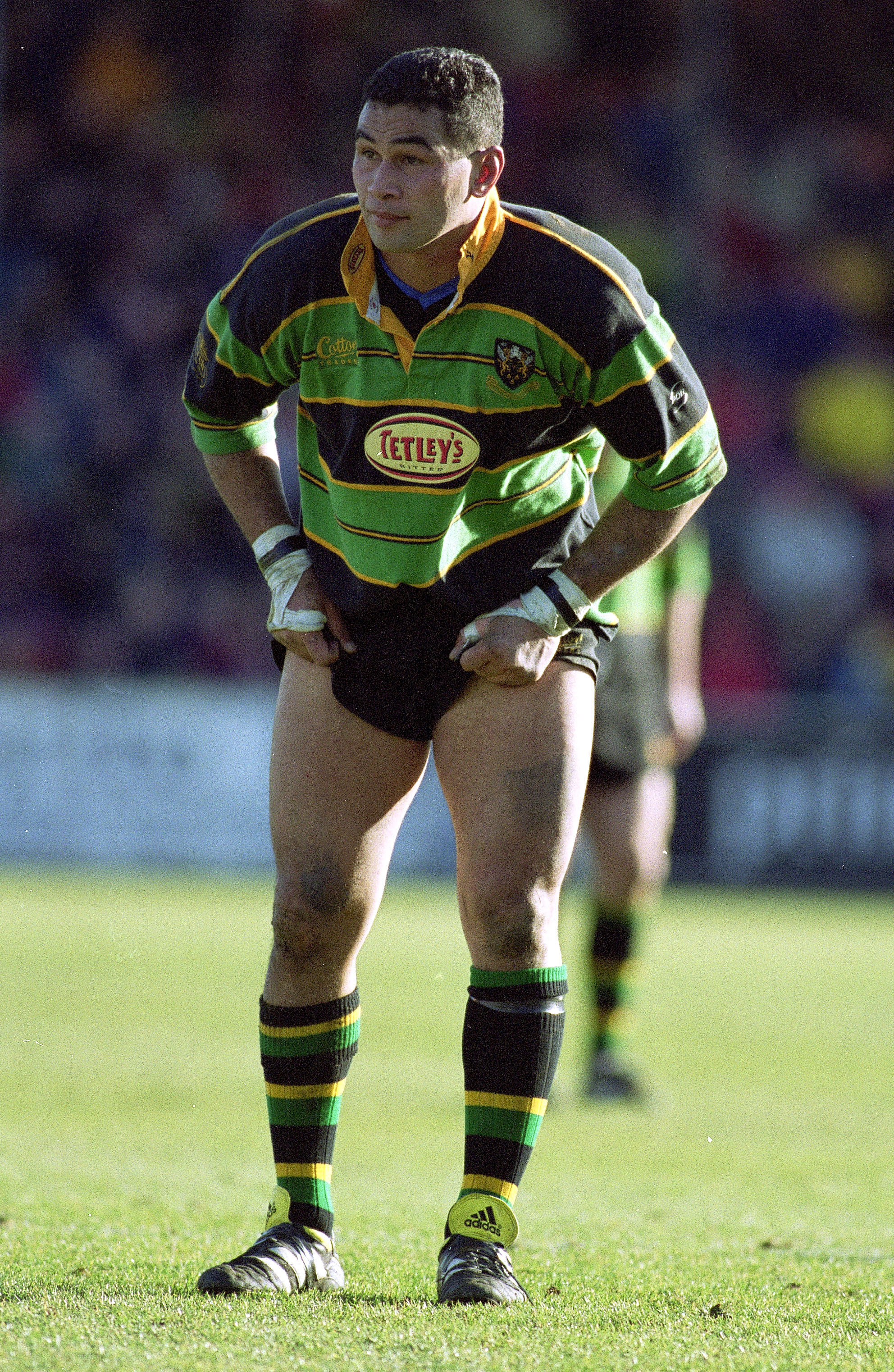 Pat Lam | Northampton Saints