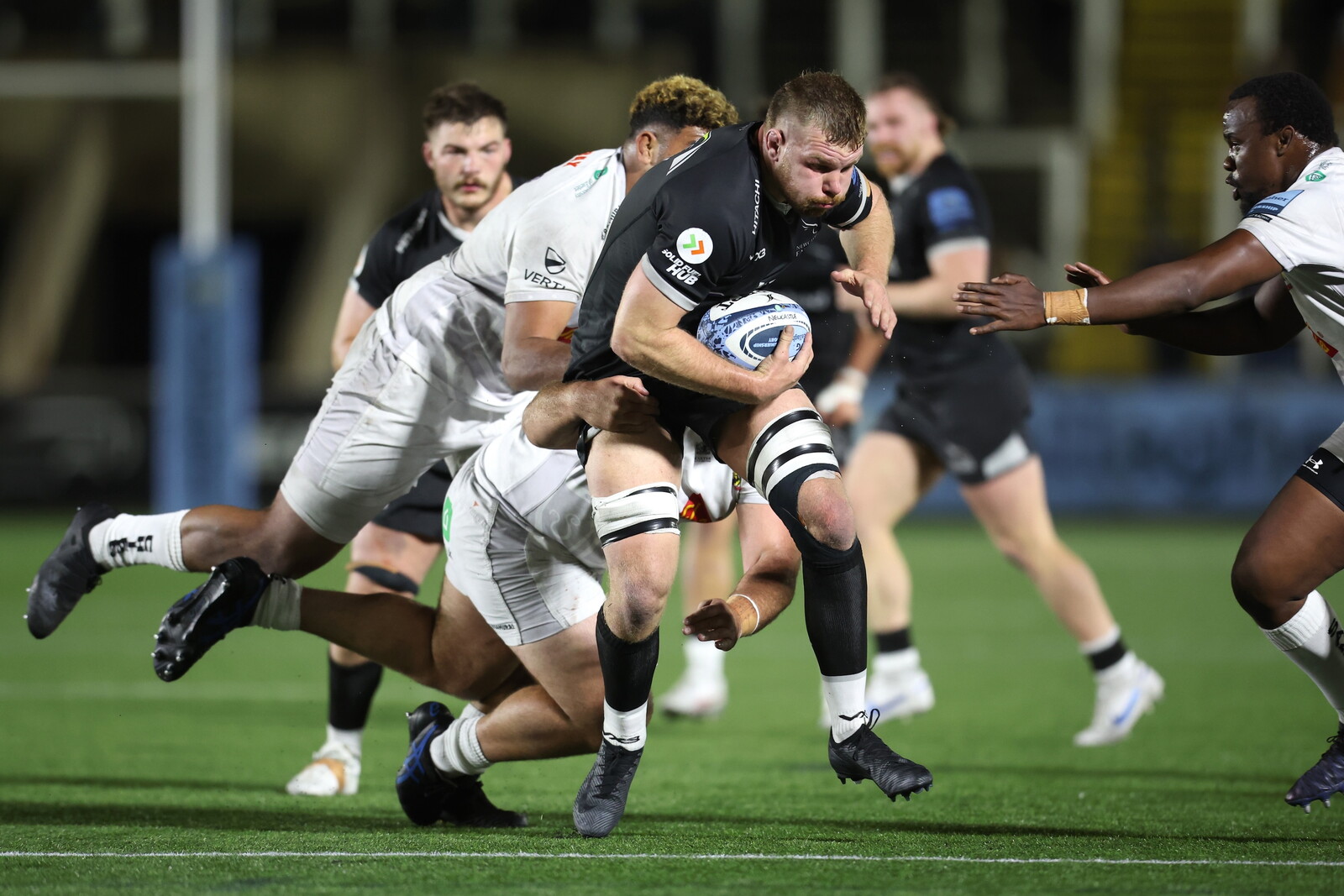 Saints sign Newcastle Falcons captain Callum Chick | Northampton Saints