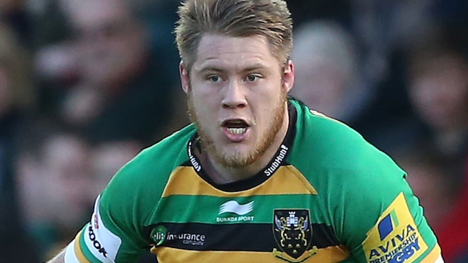 Harrison shortlisted for Green Flag Forward of the Season | Northampton ...
